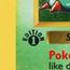 25 Most Valuable First Edition Pokemon Cards - Old Sports Cards